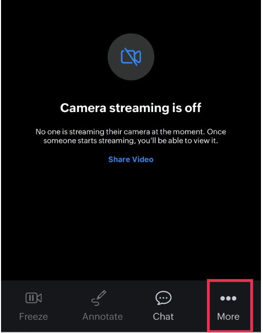 Select More and tap Share Video to start streaming from your mobile device.
